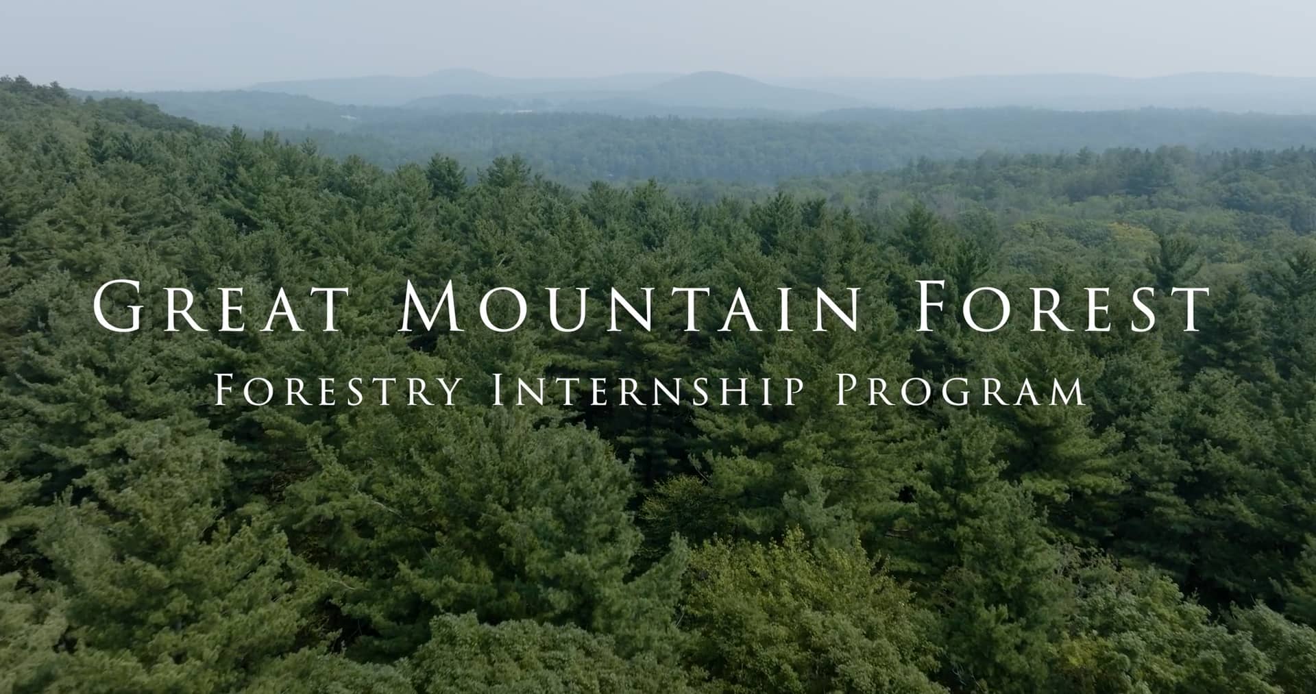 Great Mountain Forest Internship Program 2023 on Vimeo