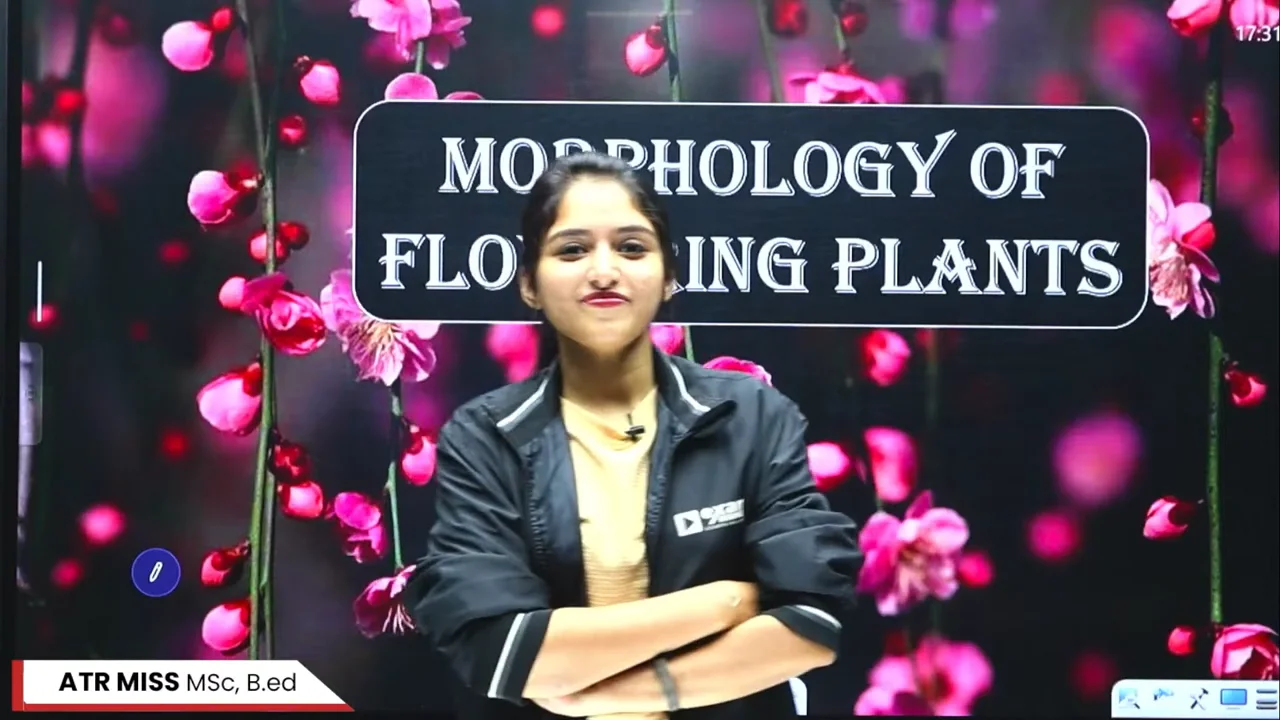 PRITHVI BATCH BIOLOGY CHAPTER 5 - MORPHOLOGY OF FLOWERING PLANTS LIVE DISCUSSION 30_09_23 5_30 ...