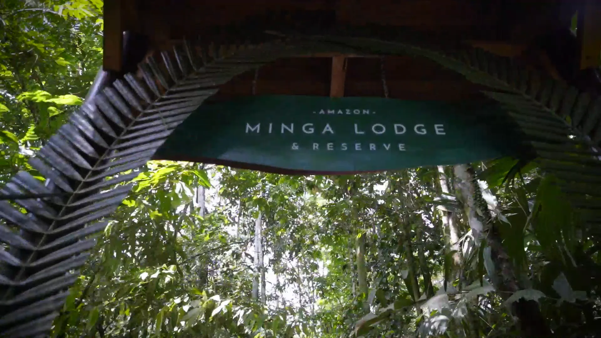 Minga Lodge & Reserve Corporate Retreat on Vimeo