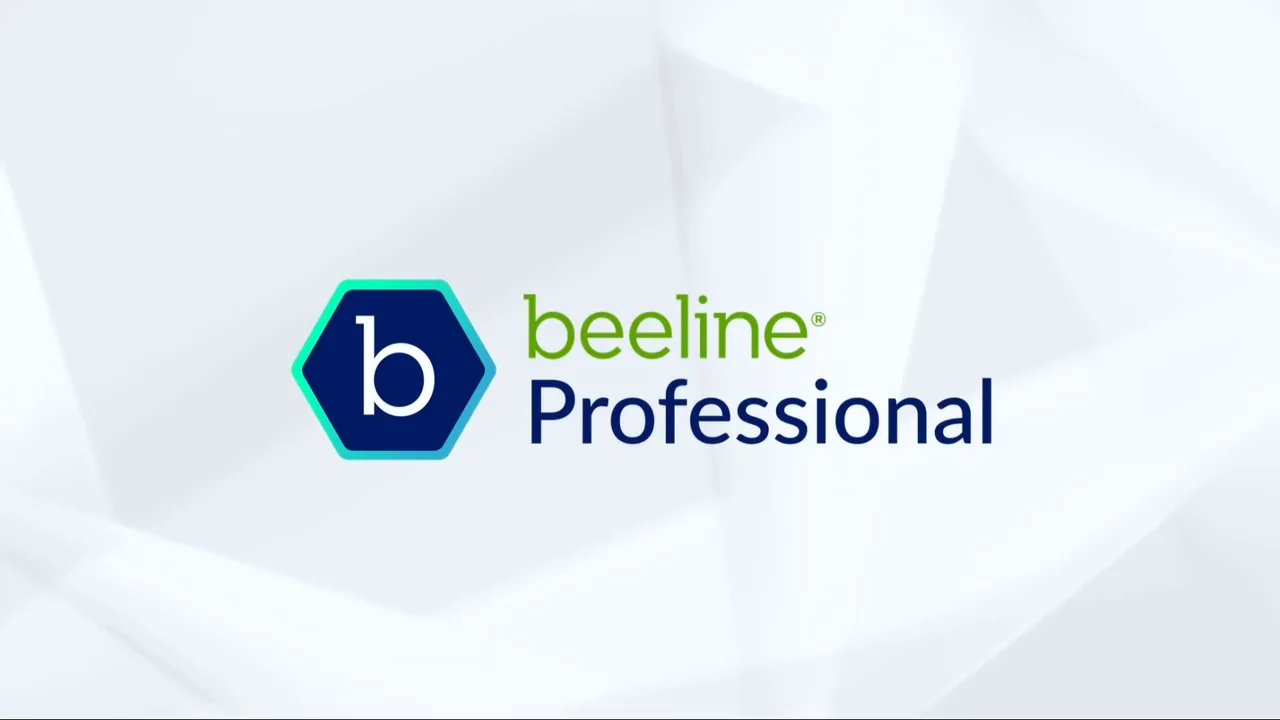 Beeline Professional