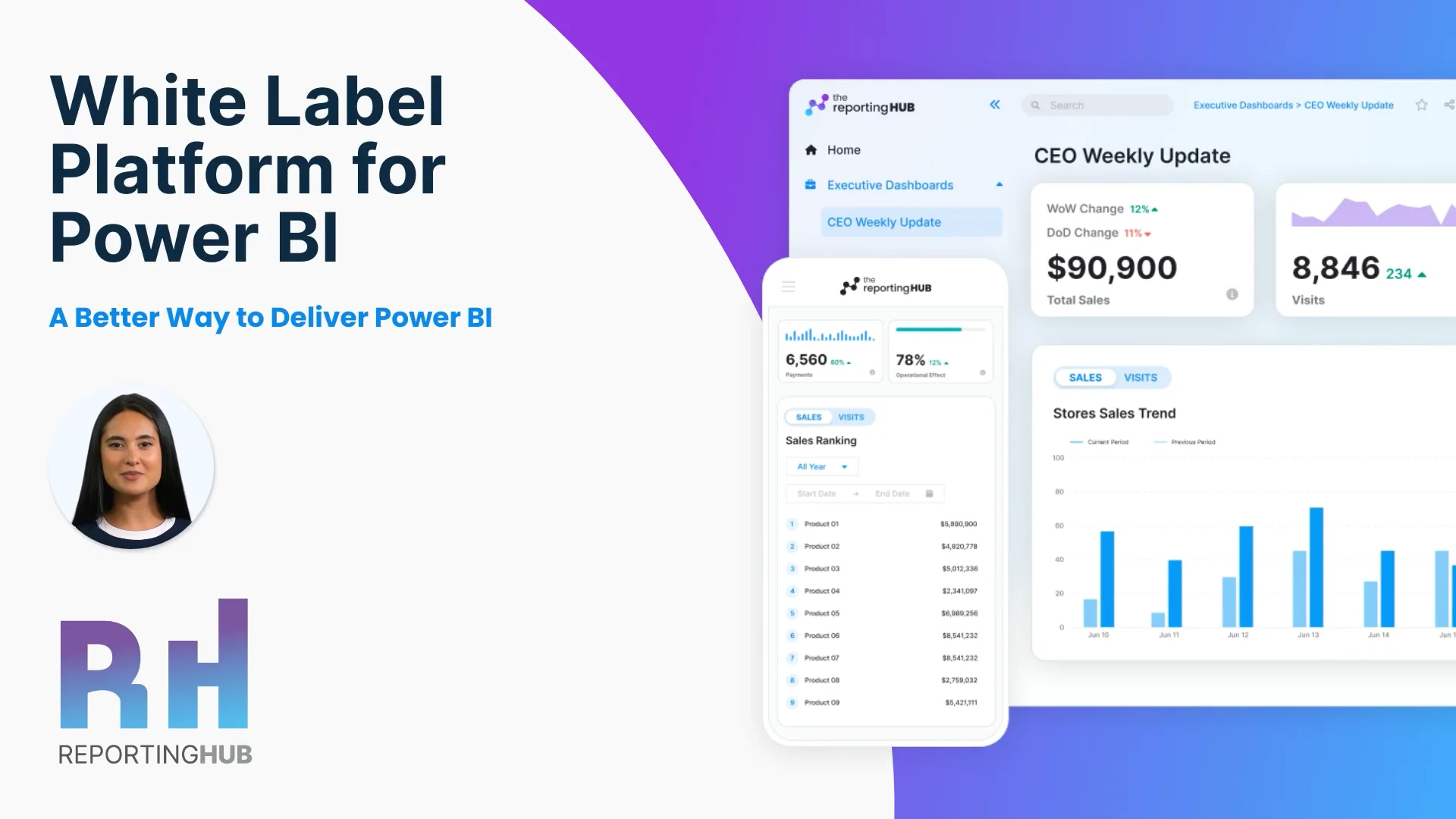 The Reporting Hub | Explainer Video