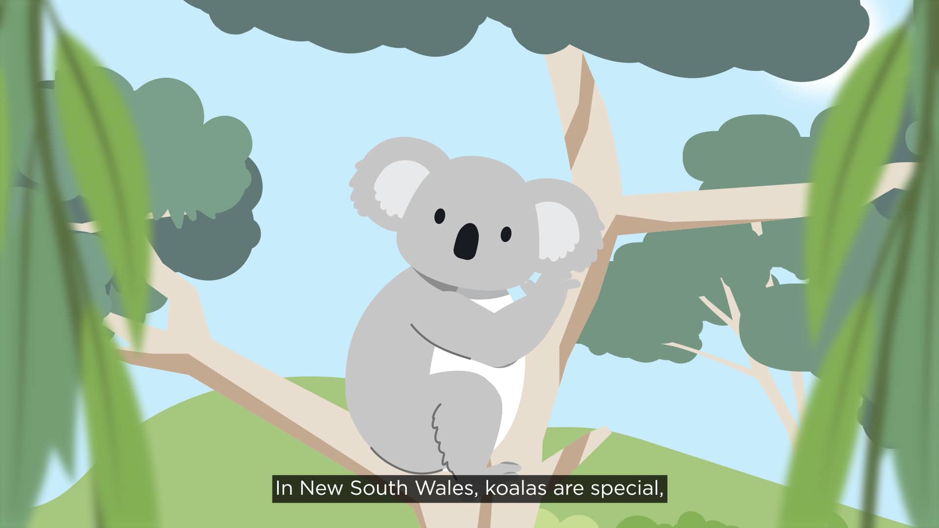NSW Dept Planning & Environment - Koala Strategy - 90 Seconds - 16:9 ...