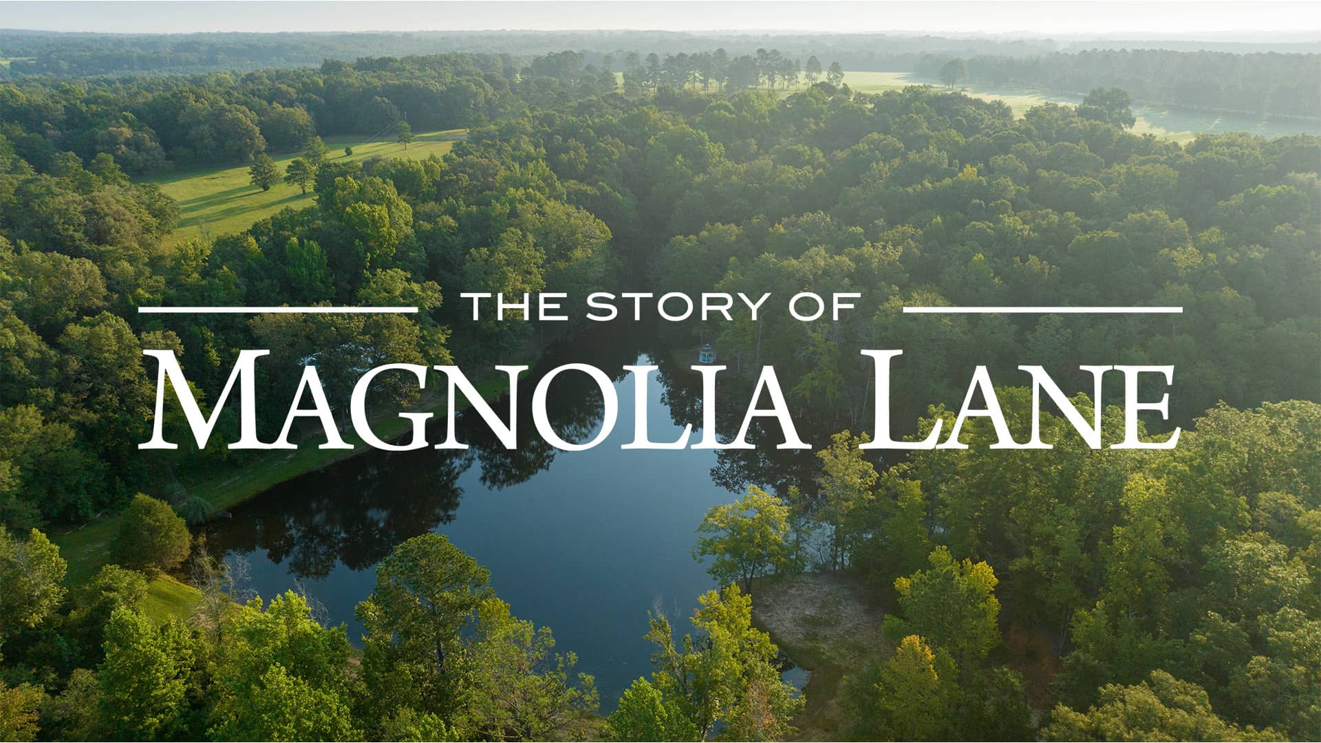 Magnolia Lane on Vimeo