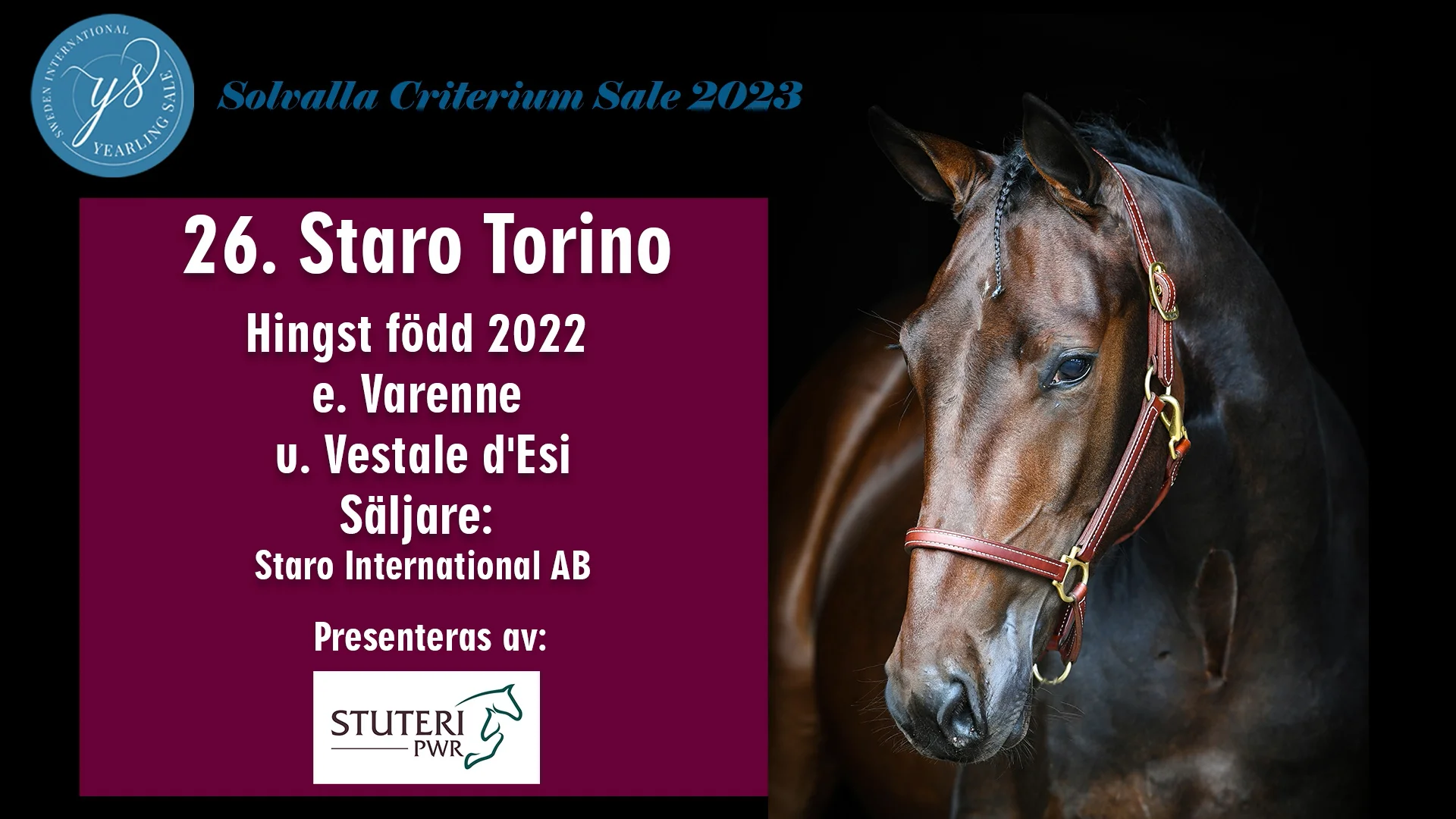 26. Staro Torino on Vimeo