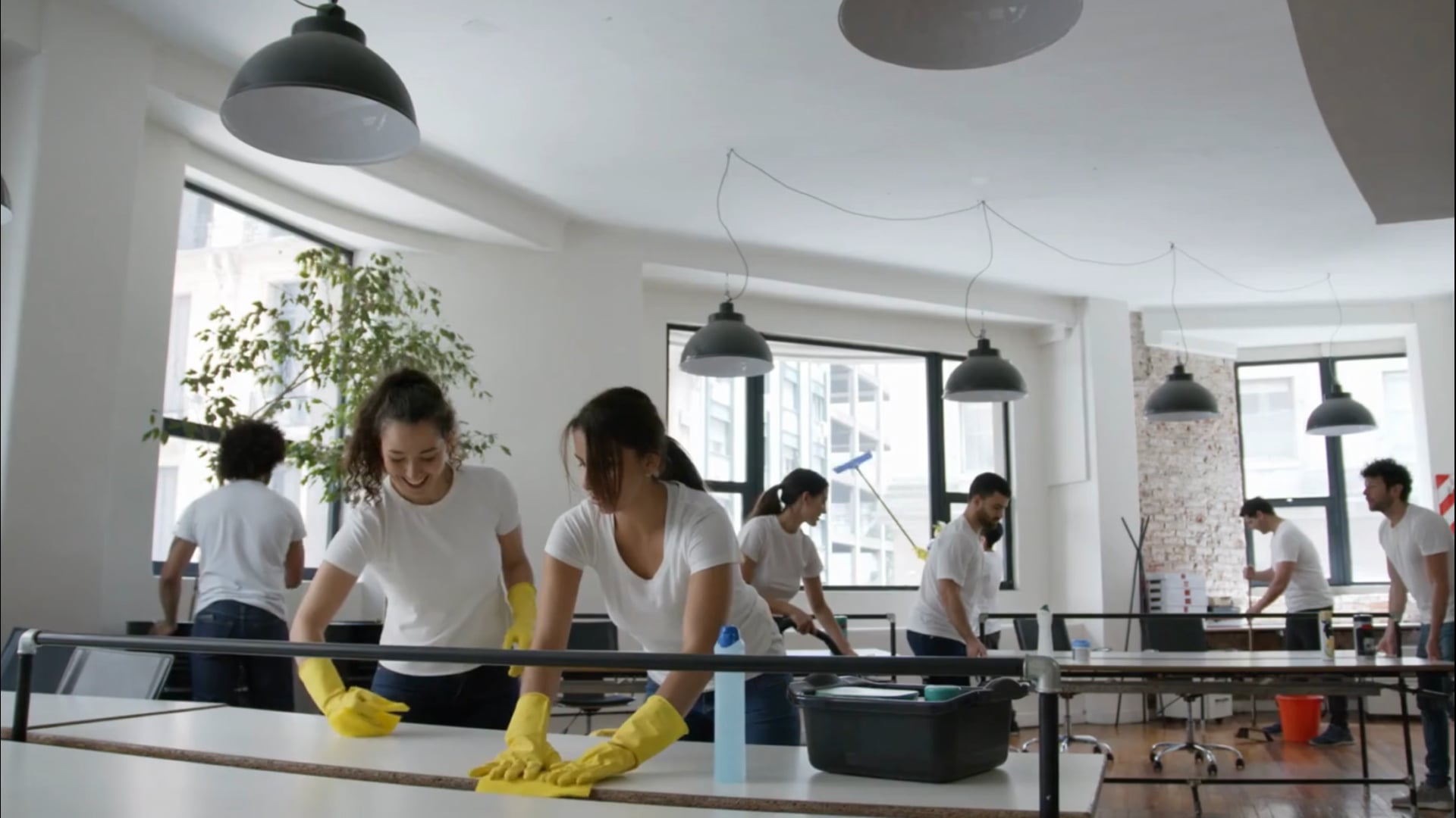 Maple Premium Services Ltd - Cleaning Services - Calgary, Alberta