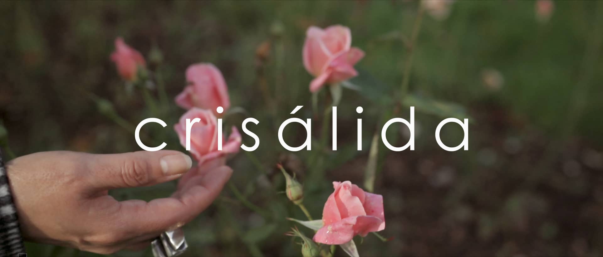 Crisálida on Vimeo