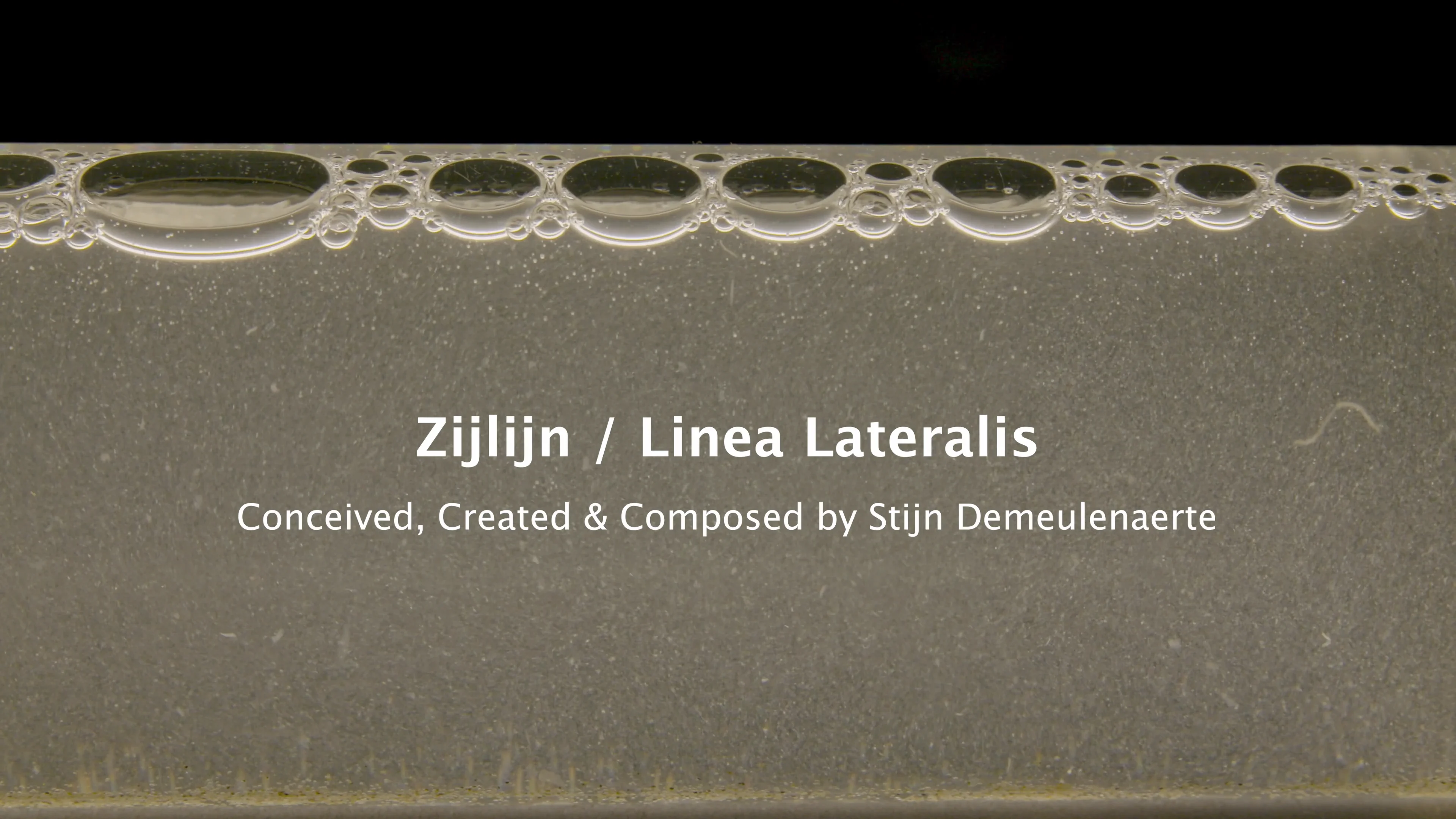 Zijlijn / Linea Lateralis on Vimeo
