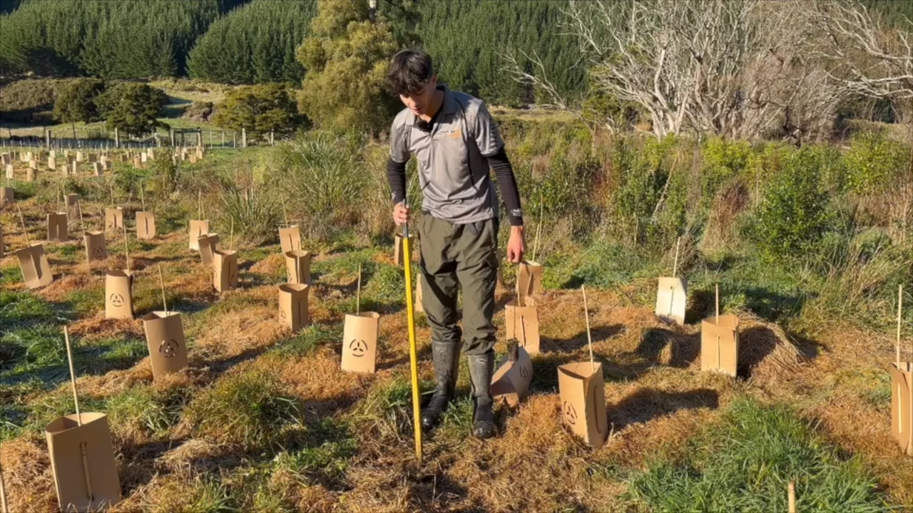 Crow bar planting on Vimeo