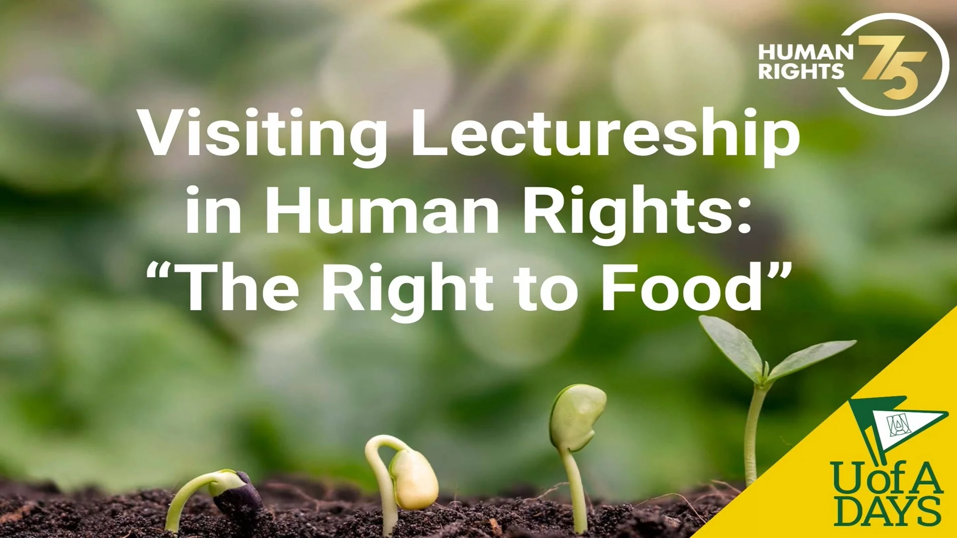 Visiting Lectureship in Human Rights: Dr. Michael Fakhri on Vimeo
