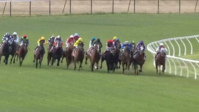 I Am Invincible - Stallion | Breednet