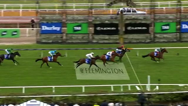 I Am Invincible - Stallion | Breednet