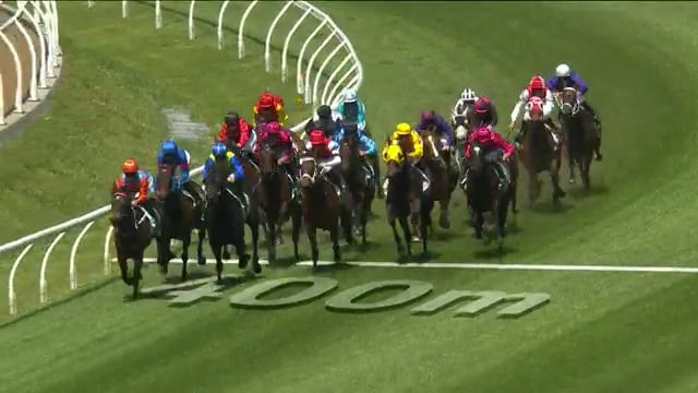 Hallowed Crown - Stallion | Breednet