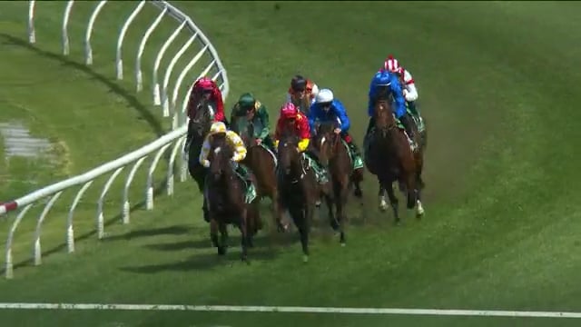 I Am Invincible - Stallion | Breednet