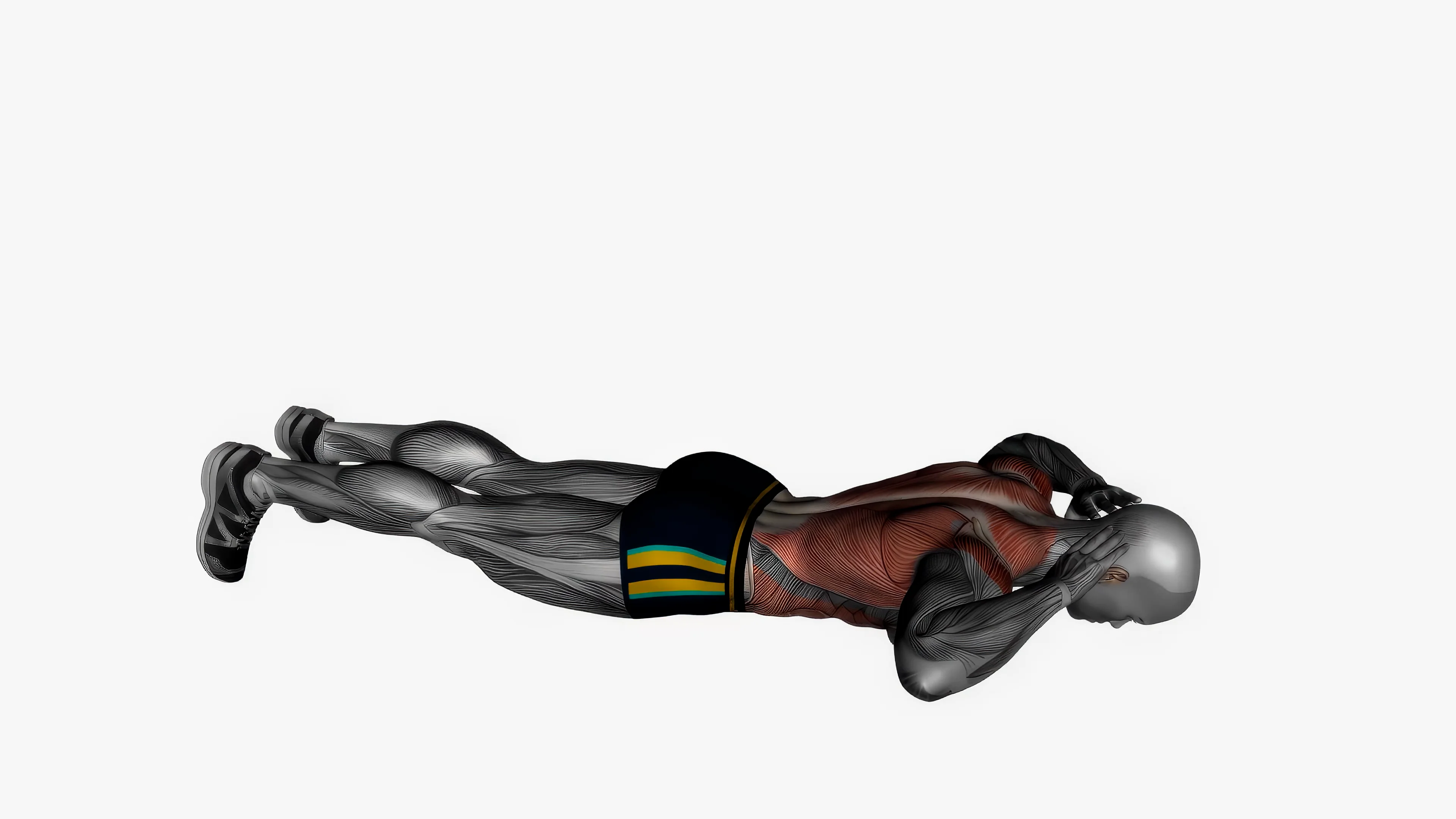 lying-back-extension-fitness-exercise-workout-anim-2023-02-26-13-47-28 ...
