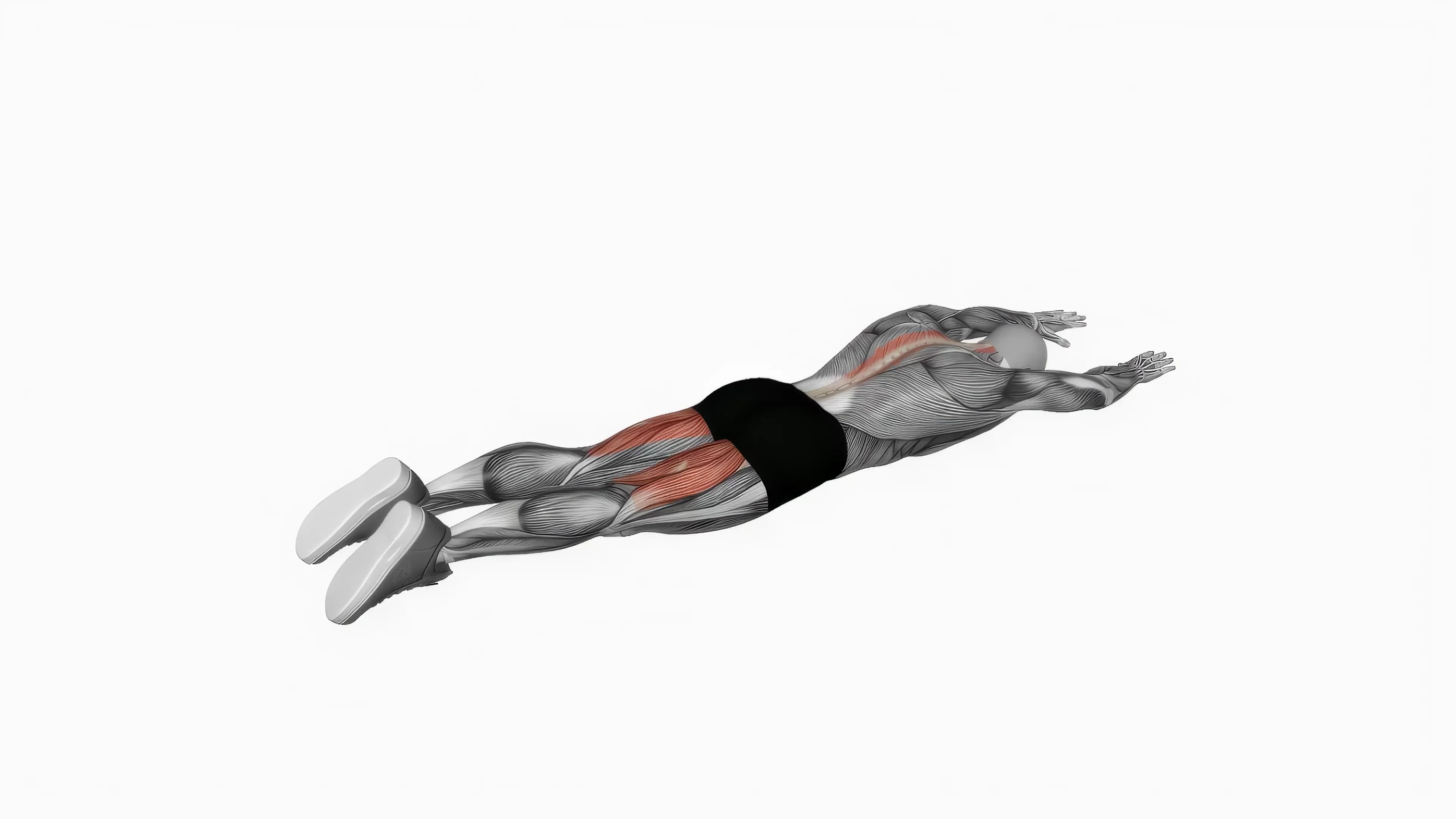 alternate-superman-fitness-exercise-workout-animat-2023-02-26-13-26-05 ...