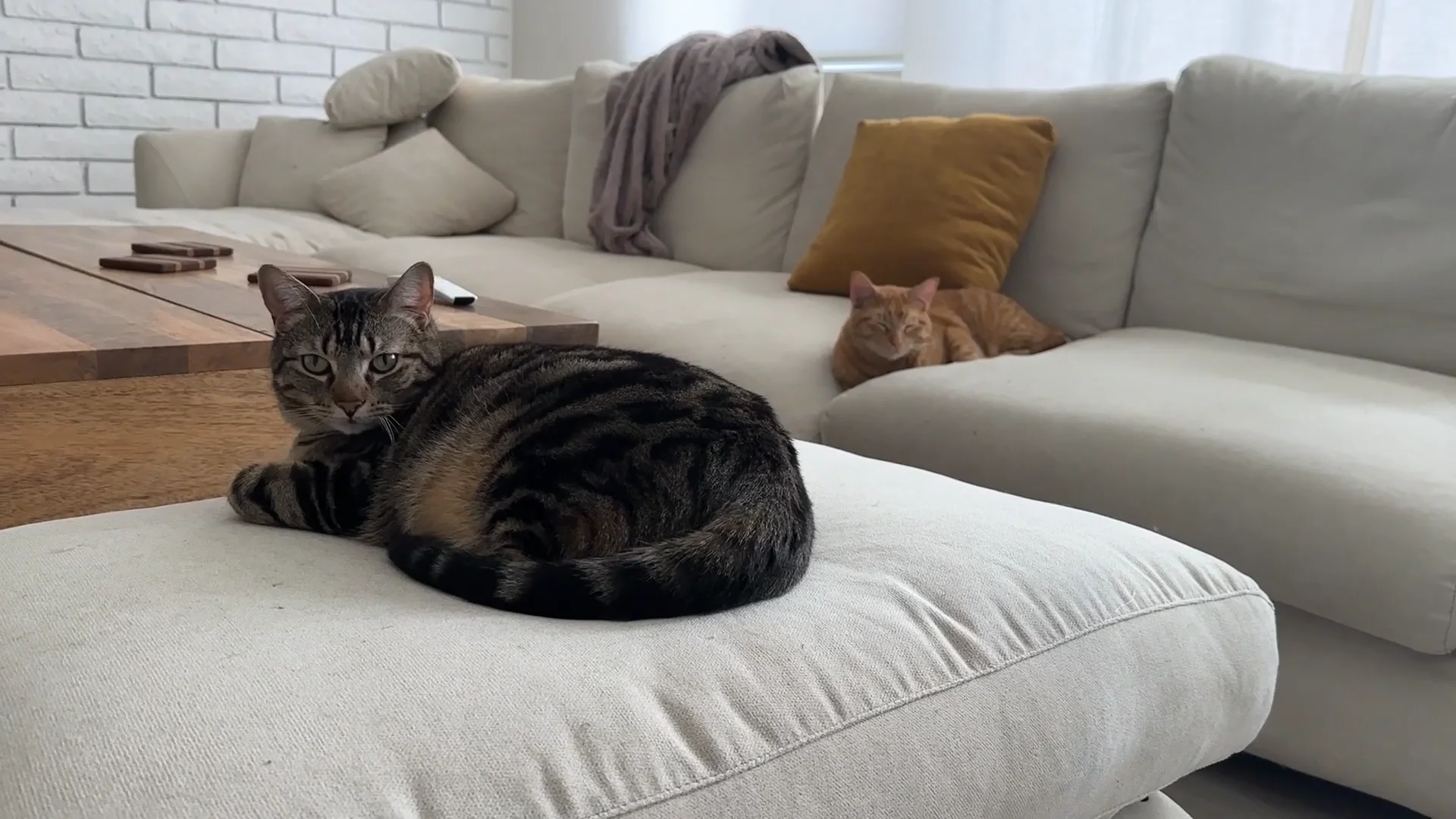 The Most Comfortable Couch and How to Get it On Sale - Valyou Furniture ...