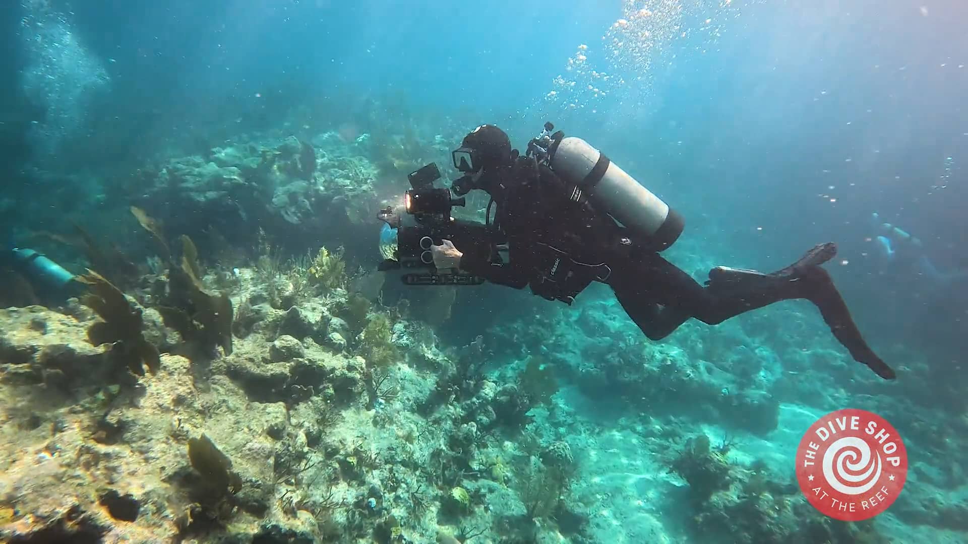 Carysfort Reef on Vimeo