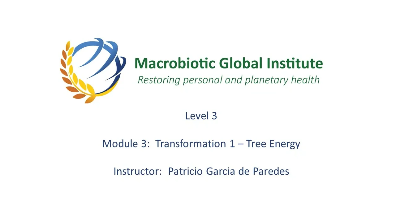 L3M3 Lecture on Vimeo