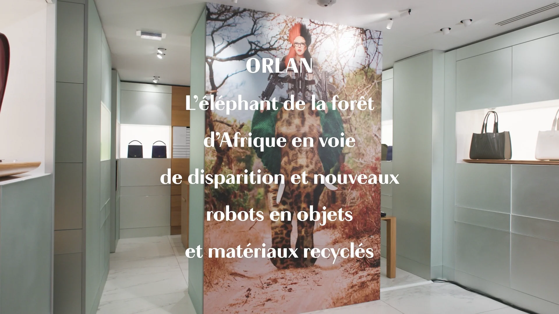 ORLAN x Camille Fournet on Vimeo