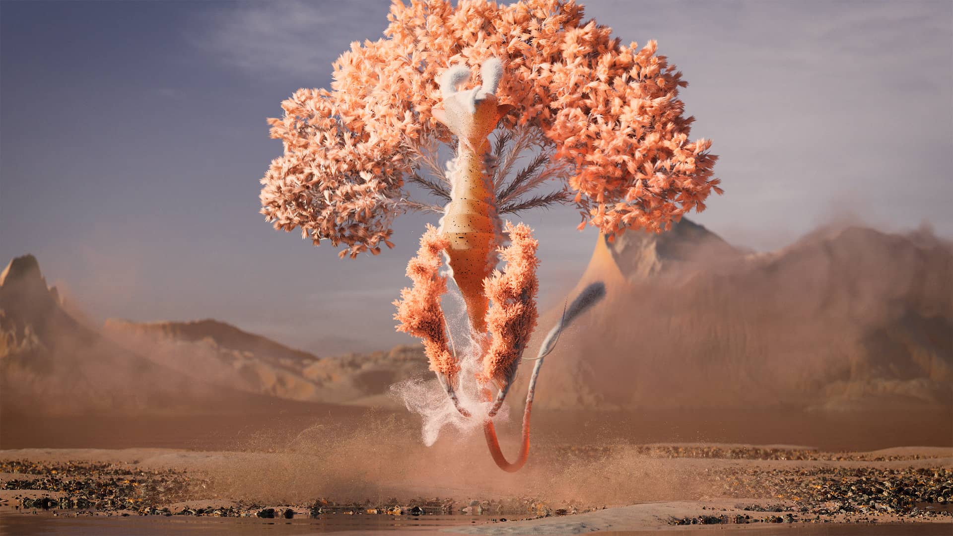 BIRTH on Vimeo
