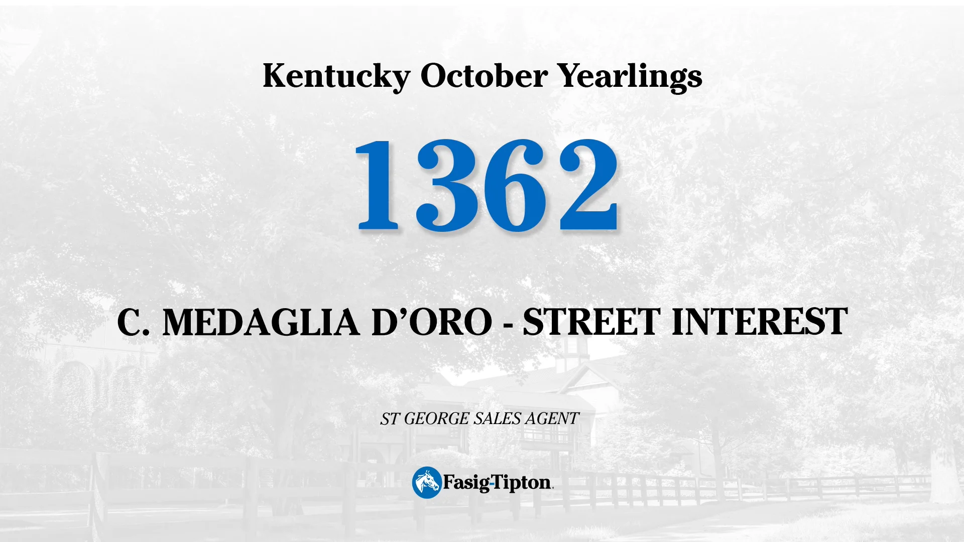 Hip_1362_FTKOCT23_Medaglia d'Oro - Street Interest