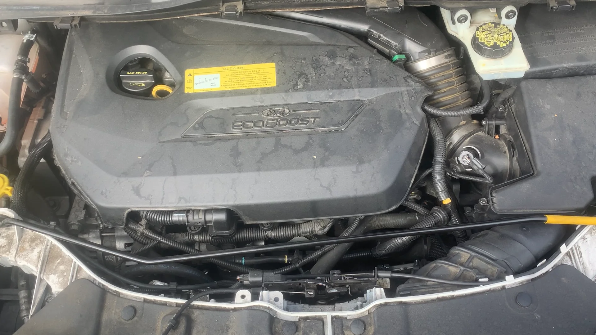 EEI128816 2014 Ford Escape on Vimeo