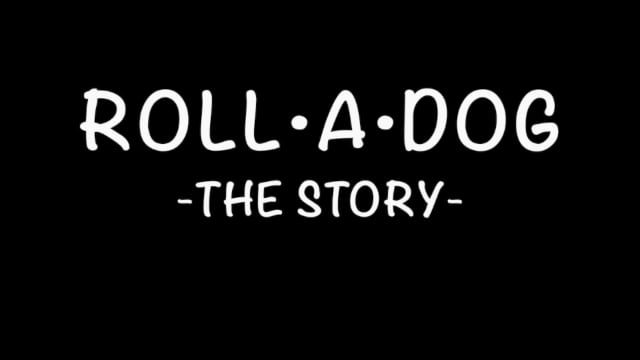 Quality Wheelchairs for Dog Care