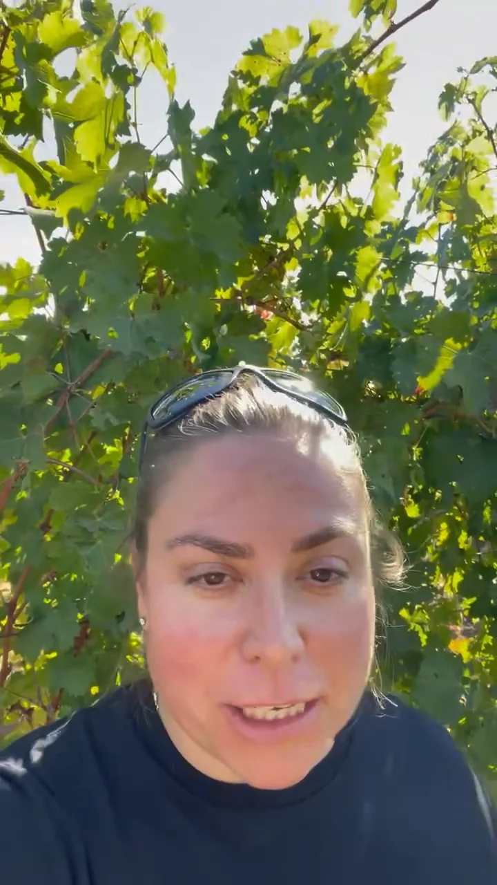 Angelina Mondavi for CK M Family Select on Vimeo