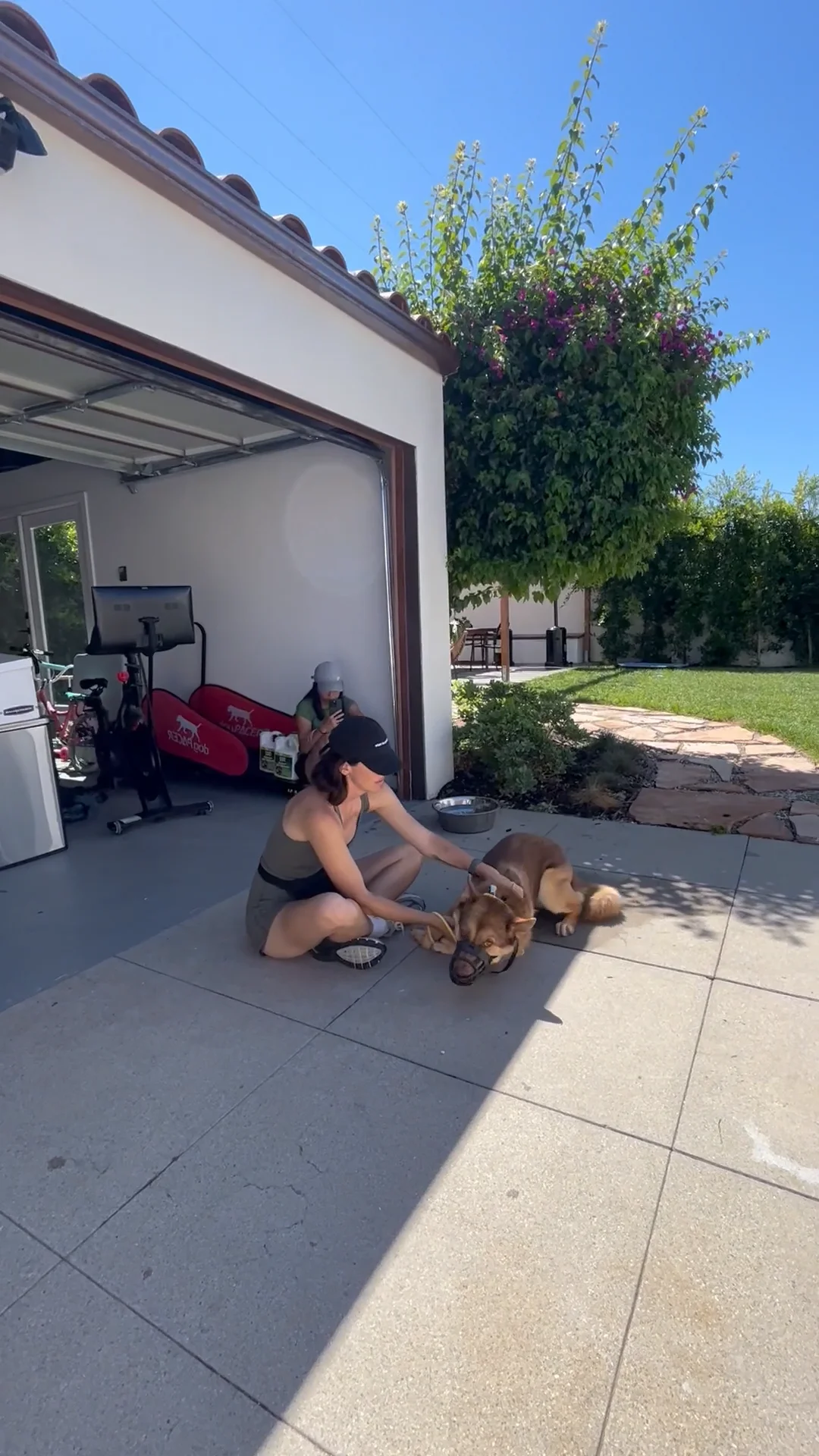 massage work human reactive dog - private session on Vimeo