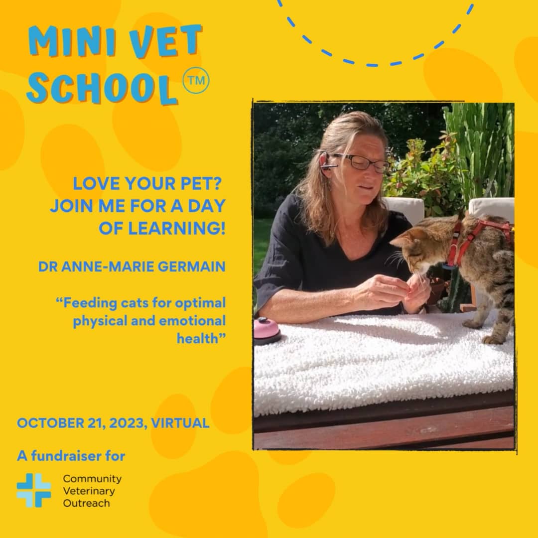 Why attend Mini-Vet School? Dr. Anne-Marie Germain (speaker) shares! on ...