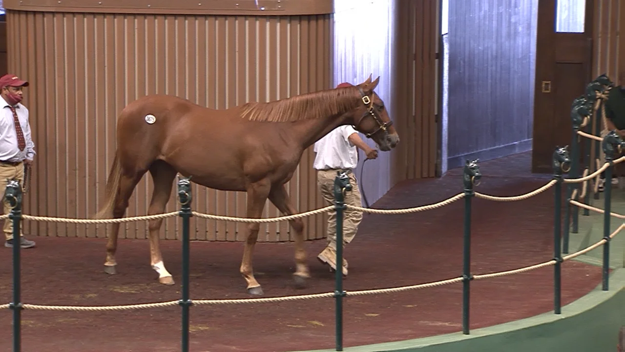 Kitodan_Sept 2020 Hip 3677mp4 on Vimeo