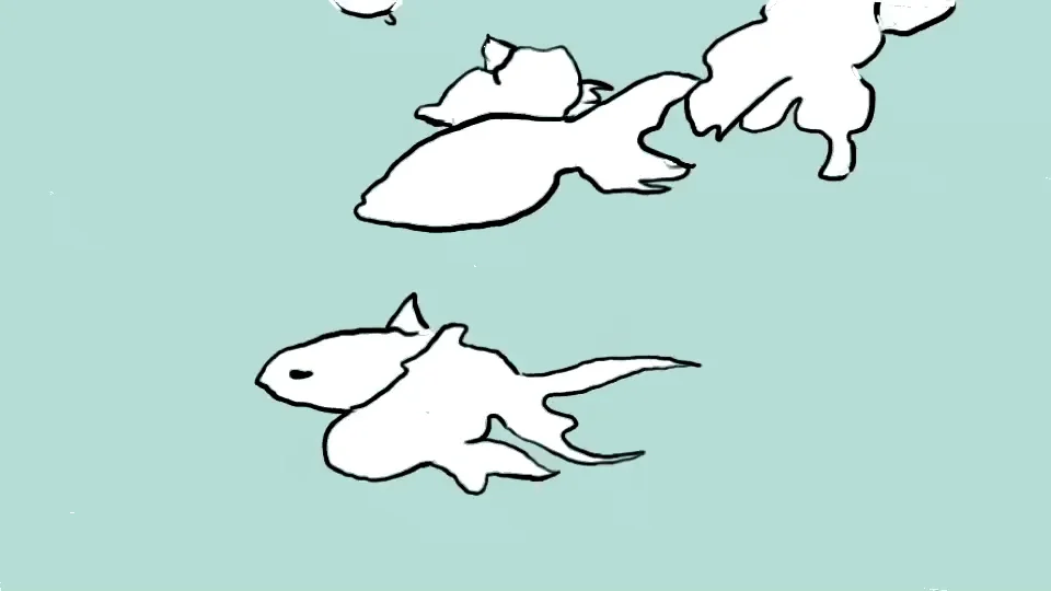 more fish on Vimeo