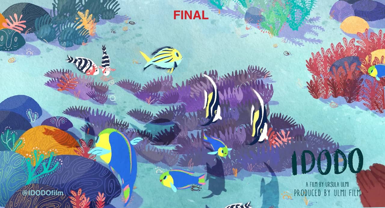 IDODO - Fish cirle on Vimeo