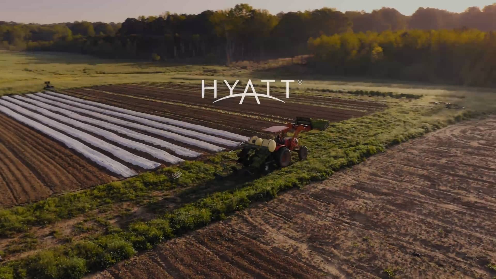 Together By Hyatt – Thoughtfully Sourced Food on Vimeo