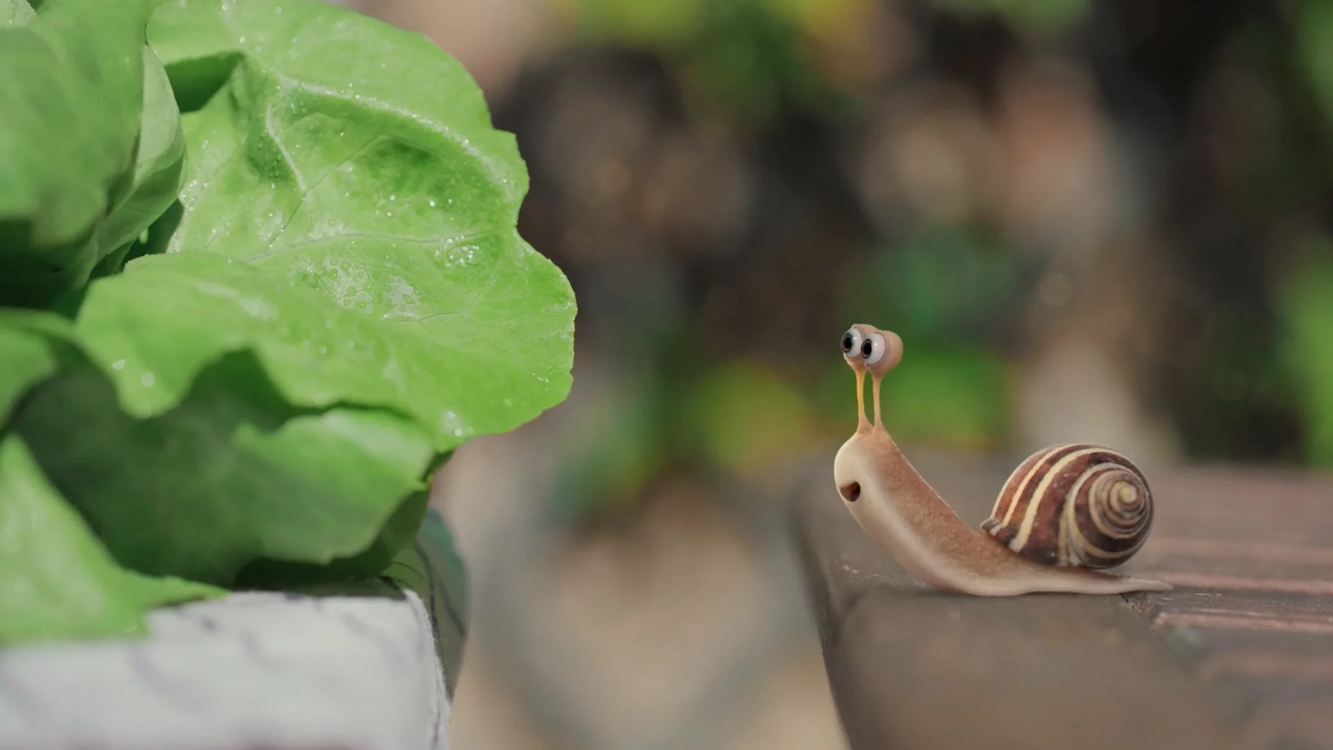 MIGROS SNAIL / STRETCH