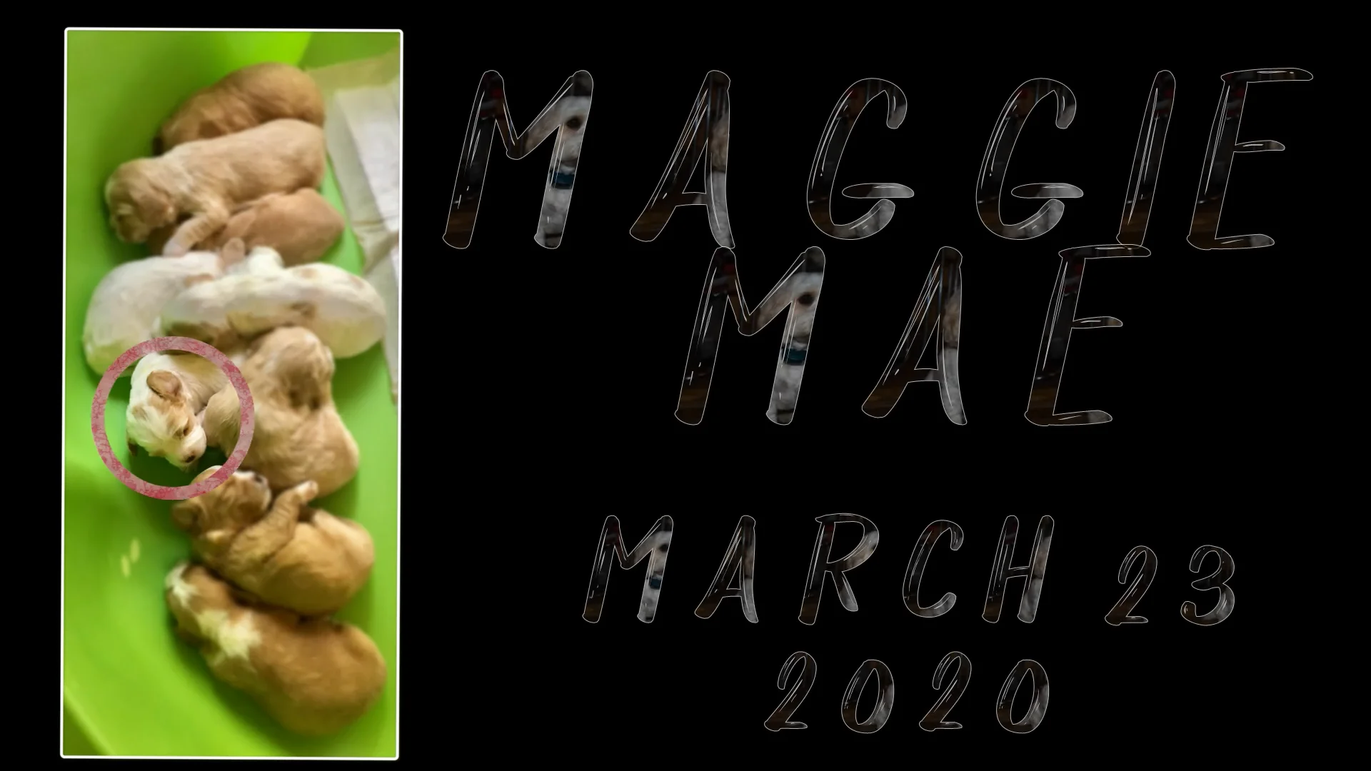 Maggie Mae on Vimeo