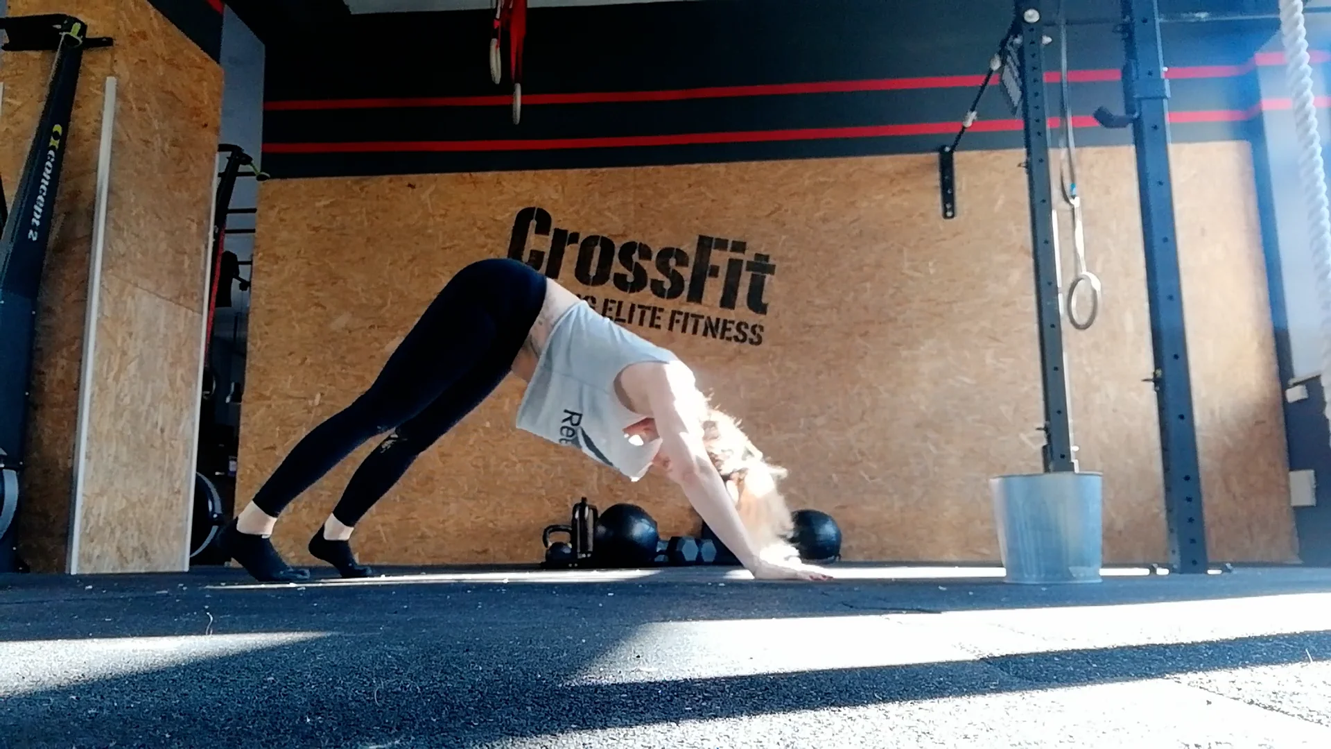 KOCI GRZBIET I KROWA on Vimeo