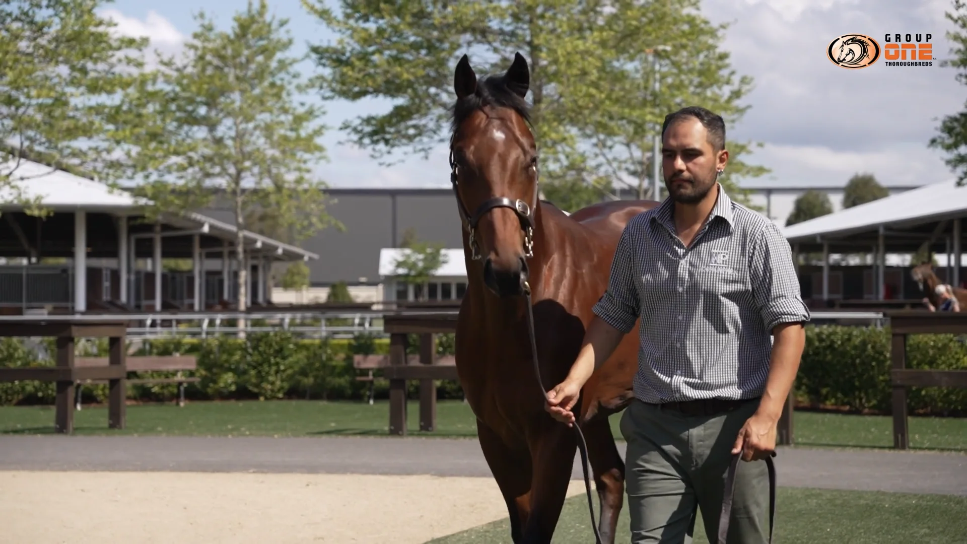 Exceedance X Cristal Eyes Colt- Trained by Annabel Neasham on Vimeo