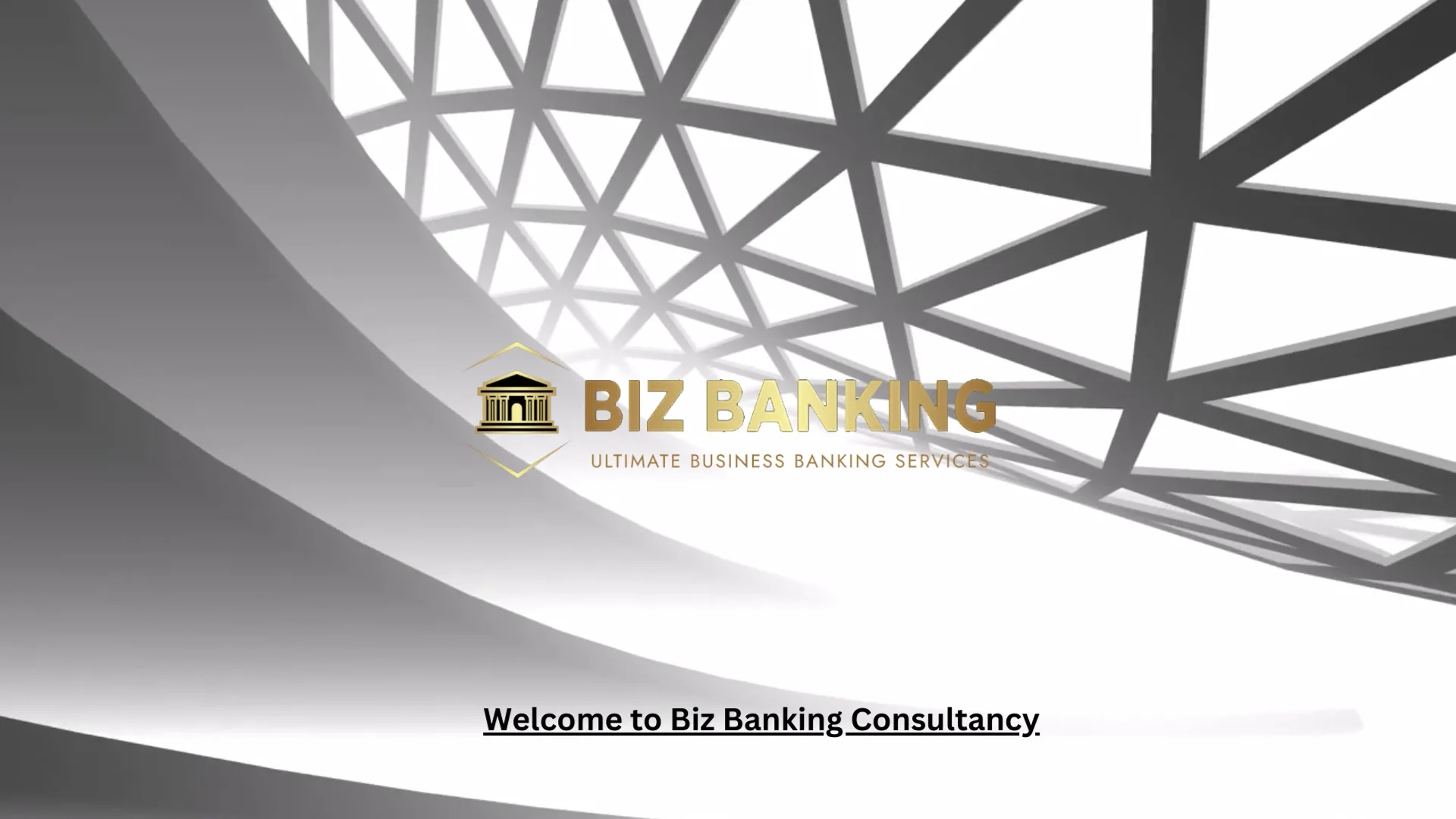 Welcome to Biz Banking Consultancy
