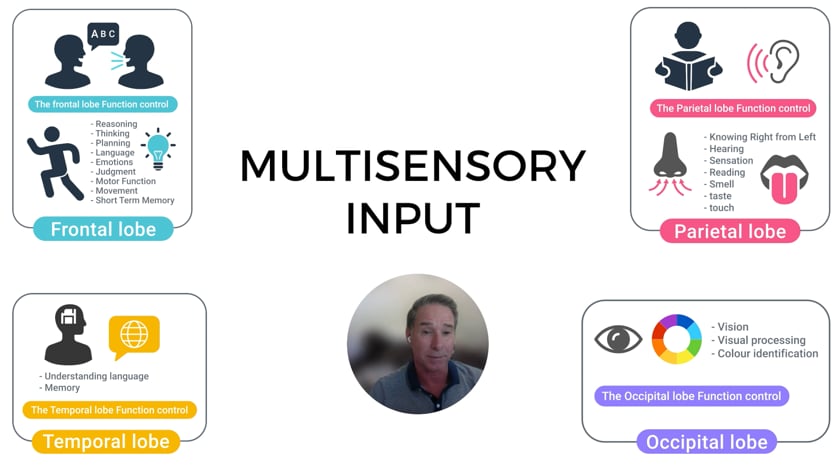 Multisensory Learning - Language Tree Online | Standards-Based ELD ...
