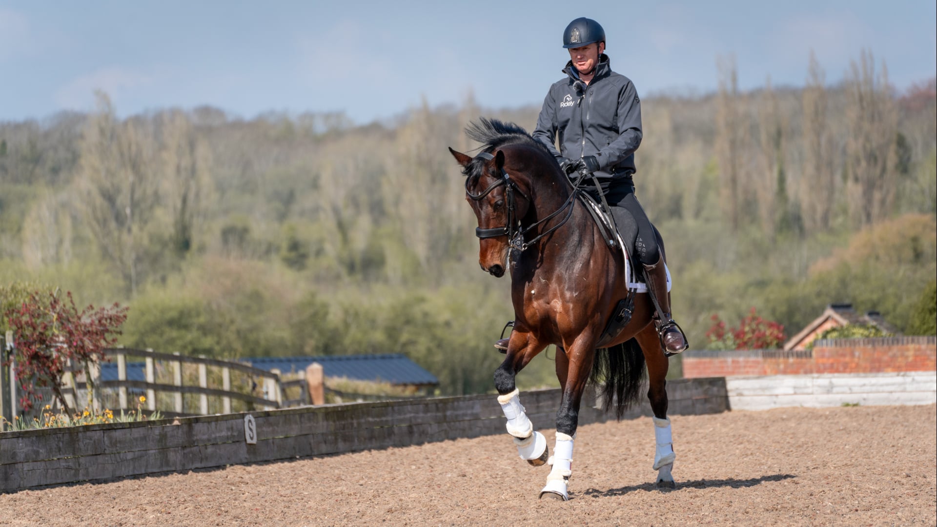 How to Ride Canter Half Pass | Ridely