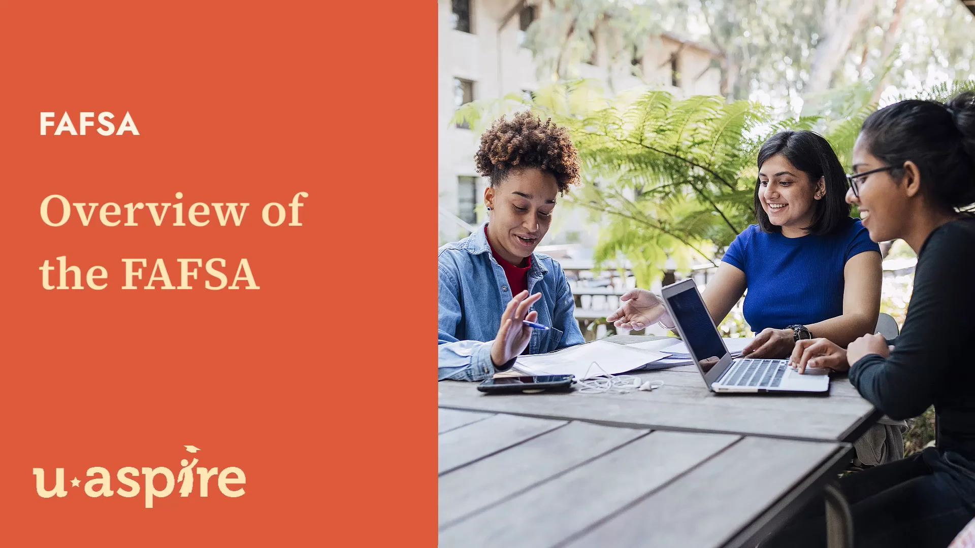 Overview of the FAFSA