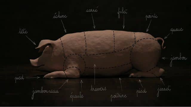Dans le cochon tout est bon on Vimeo