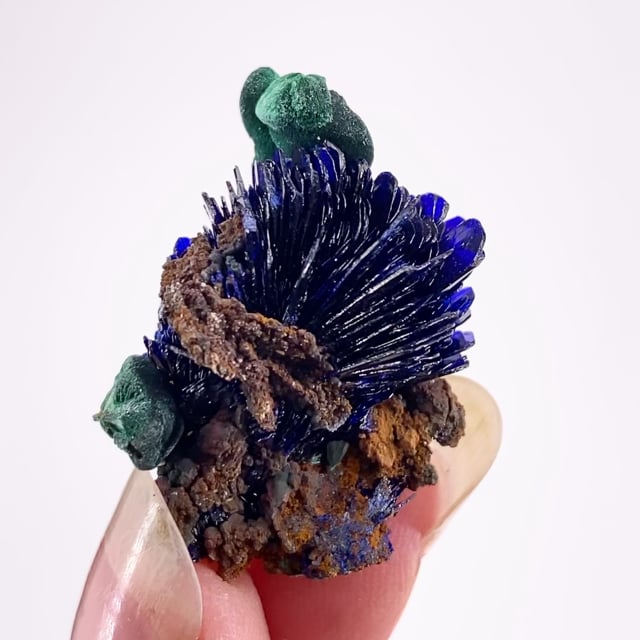 Azurite (GEM crystals!) with Malachite | Christiana Mine, Mercati mines ...