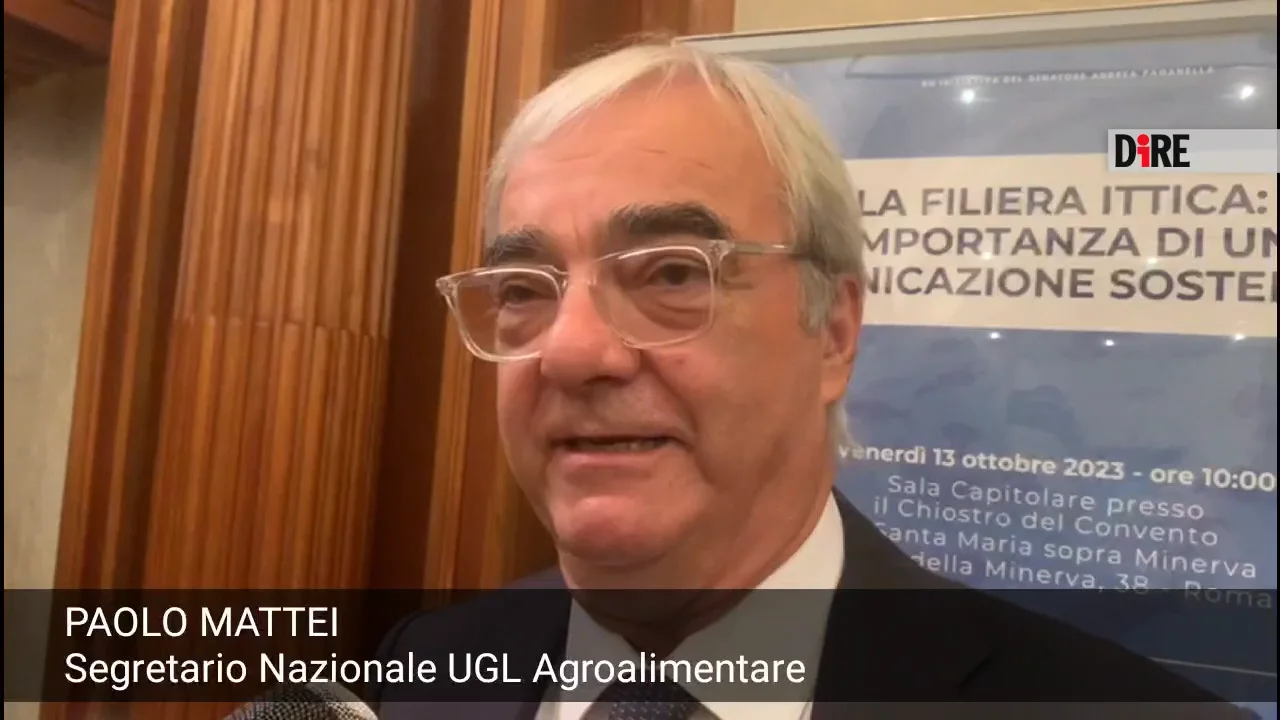 Al Senato l'evento sulla pesca sostenibile, l'intervista a Paolo Mattei ...