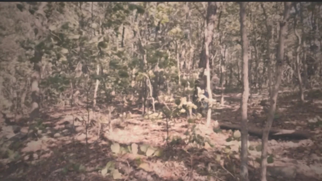 VSTE23 Yeti Advert on Vimeo