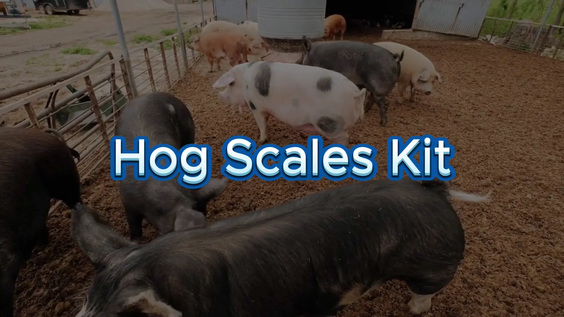 Hog Scales DIY Kit on Vimeo