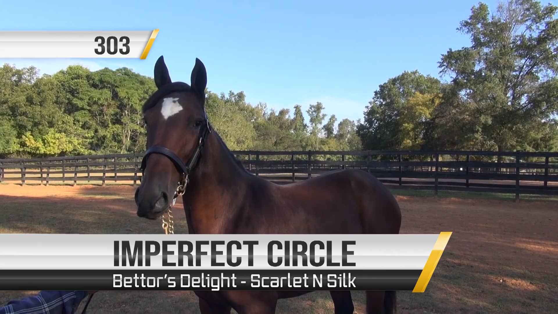 303-Imperfect Circle on Vimeo