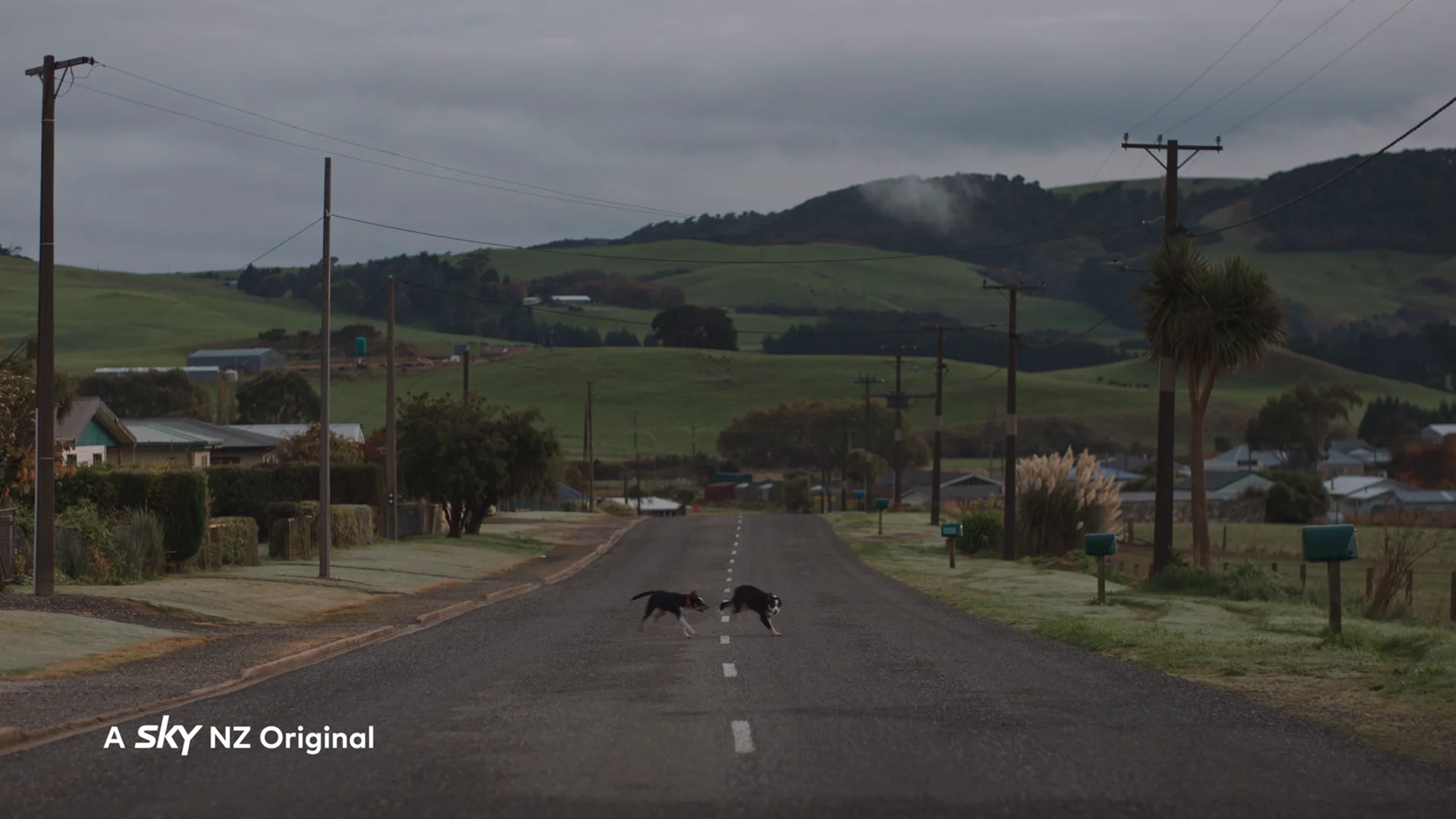 Episode One - Tokanui