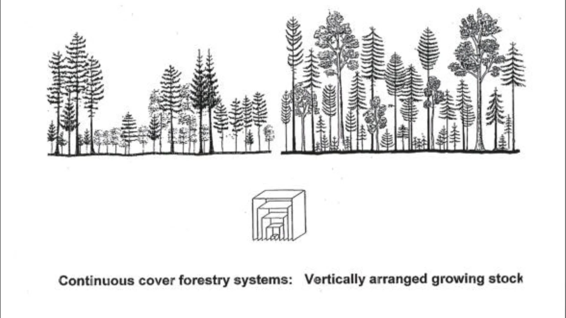 Ian Barton CCF Series - 2 - Frame Trees on Vimeo